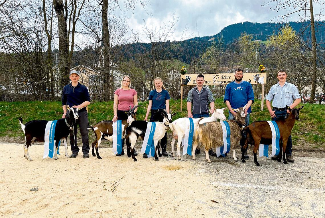 Grosse Vielfalt an 25-Jahr-Jubiläumsschau | EA+